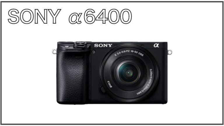 ニコンZfcレビュー｜デザインと軽快さを両立した良機【作例あり】